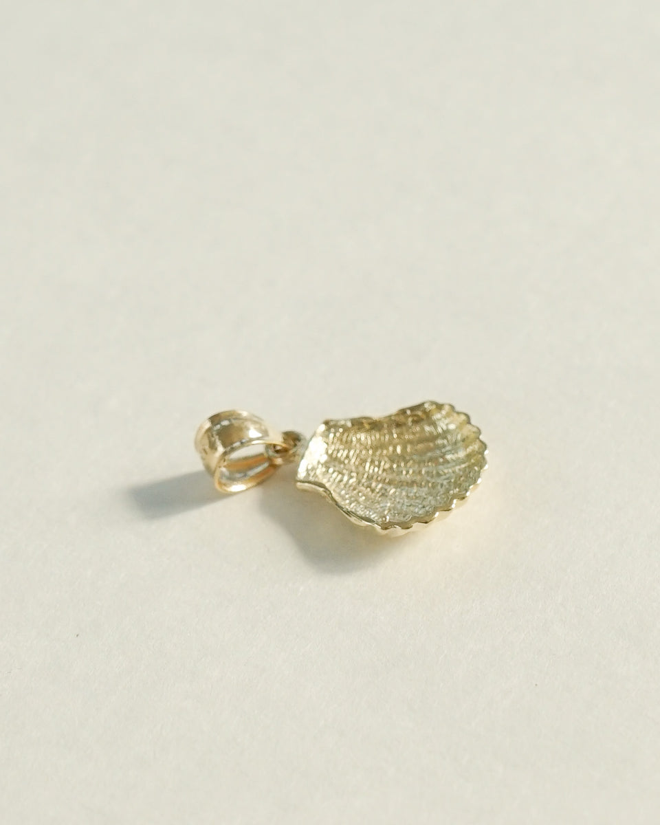 14k Gold Shell Charm – Front General Store
